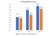 Reducing pododermatitis for the chicken feet market - Adisseo — ISC